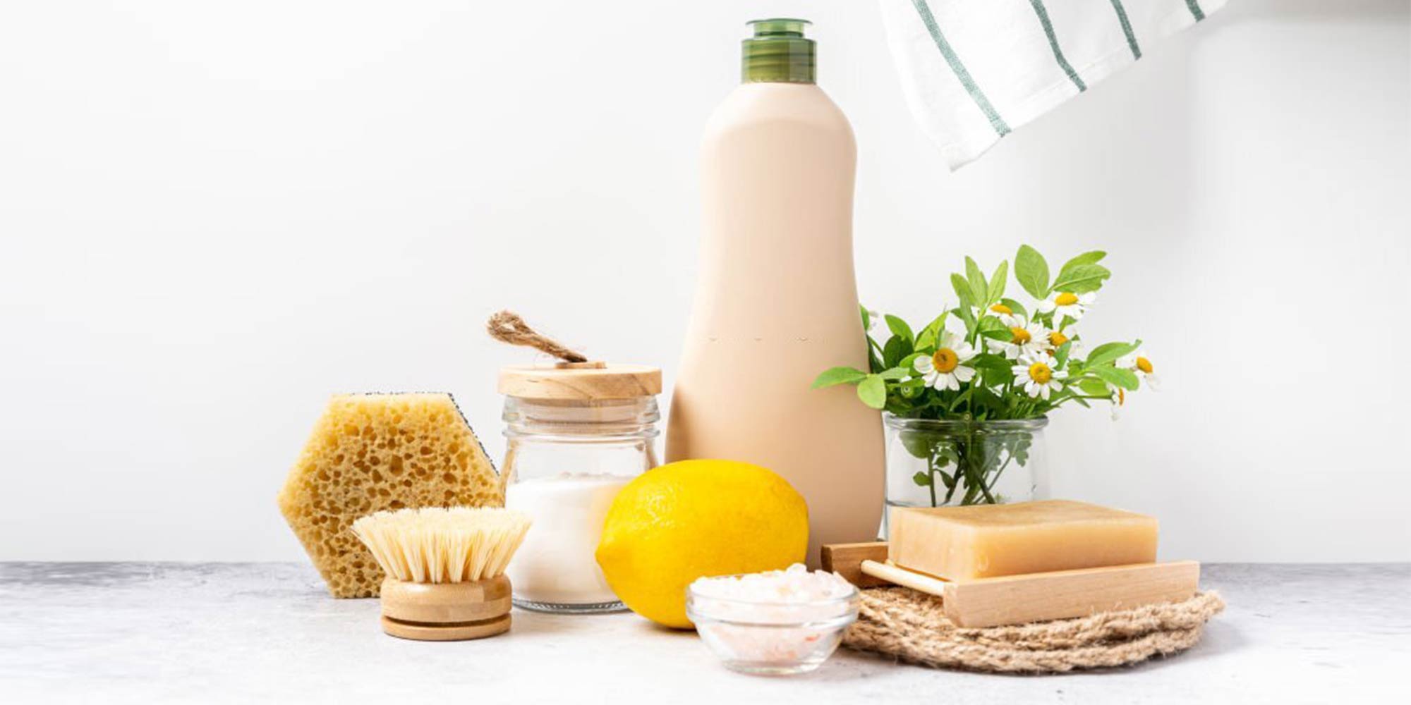 Boutique écologique Sherbrooke ǀ L’écolo boutique inc.